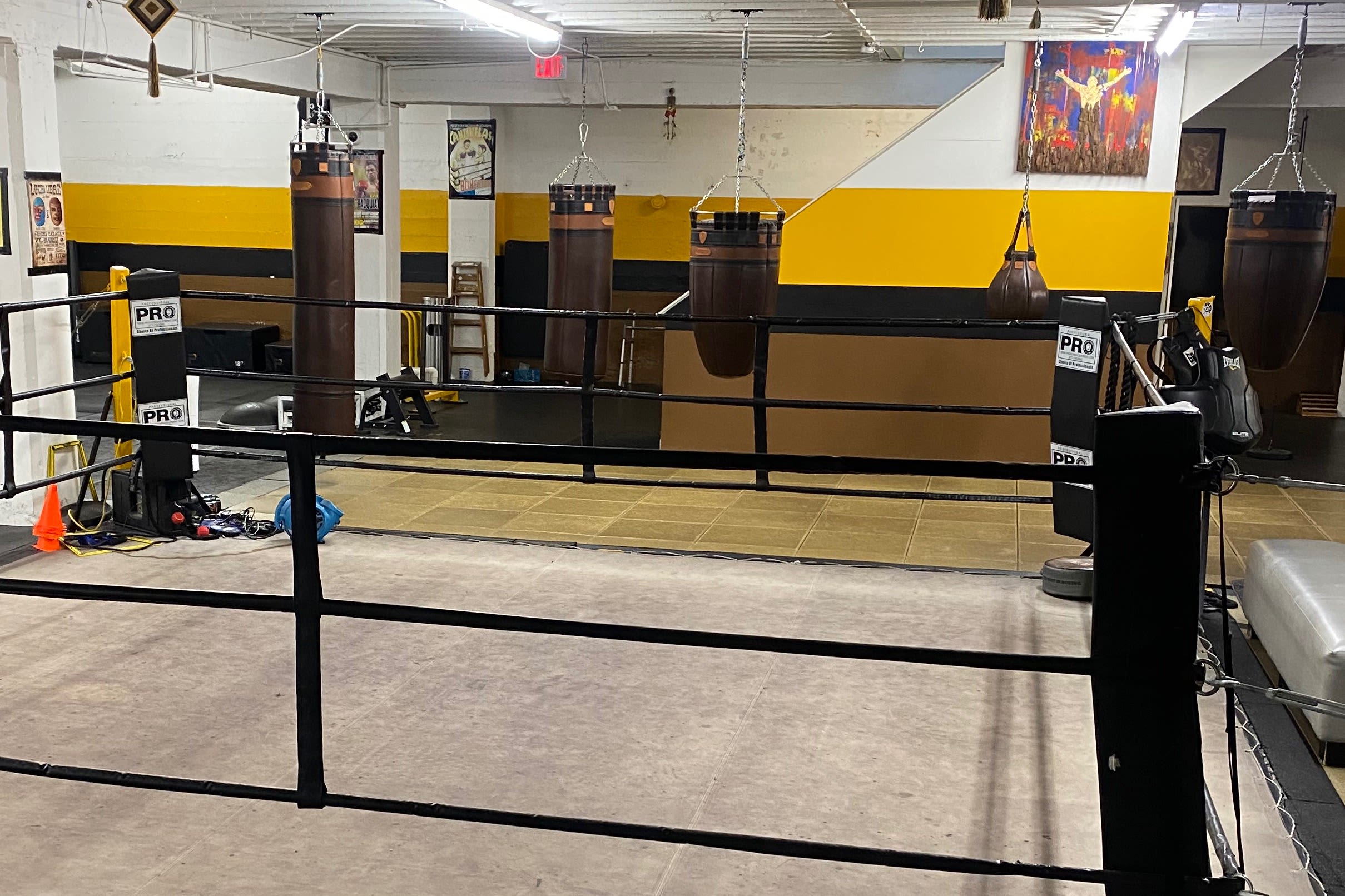 Solis Boxing: Read Reviews and Book Classes on ClassPass