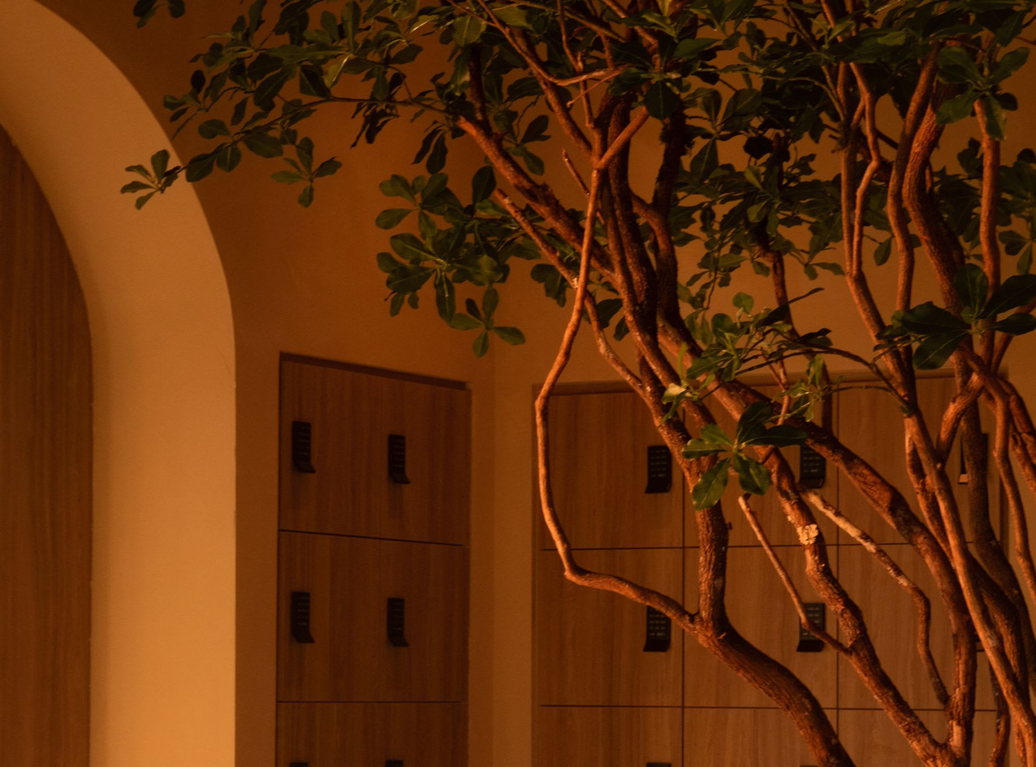 Kintsugi Yoga - The Bend: Read Reviews and Book Classes on ClassPass