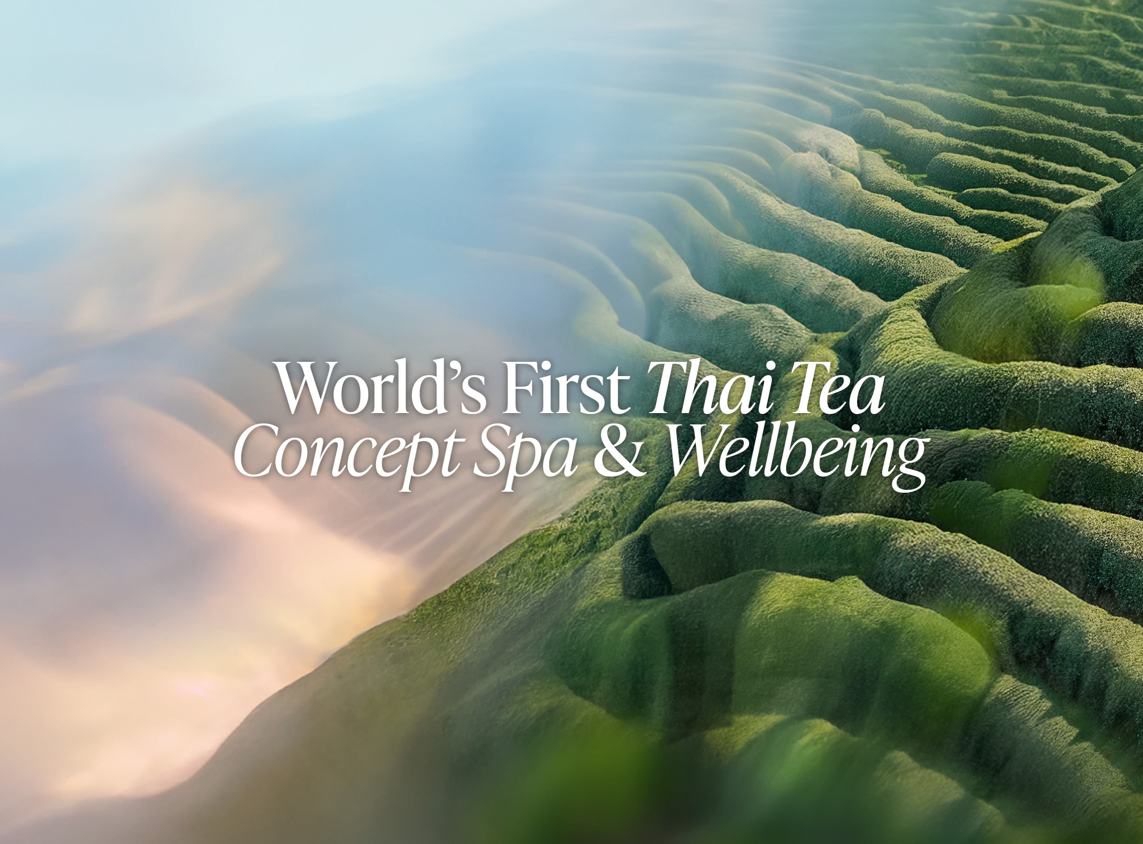 TEAVA Wellness & Spa: Read Reviews and Book Classes on ClassPass