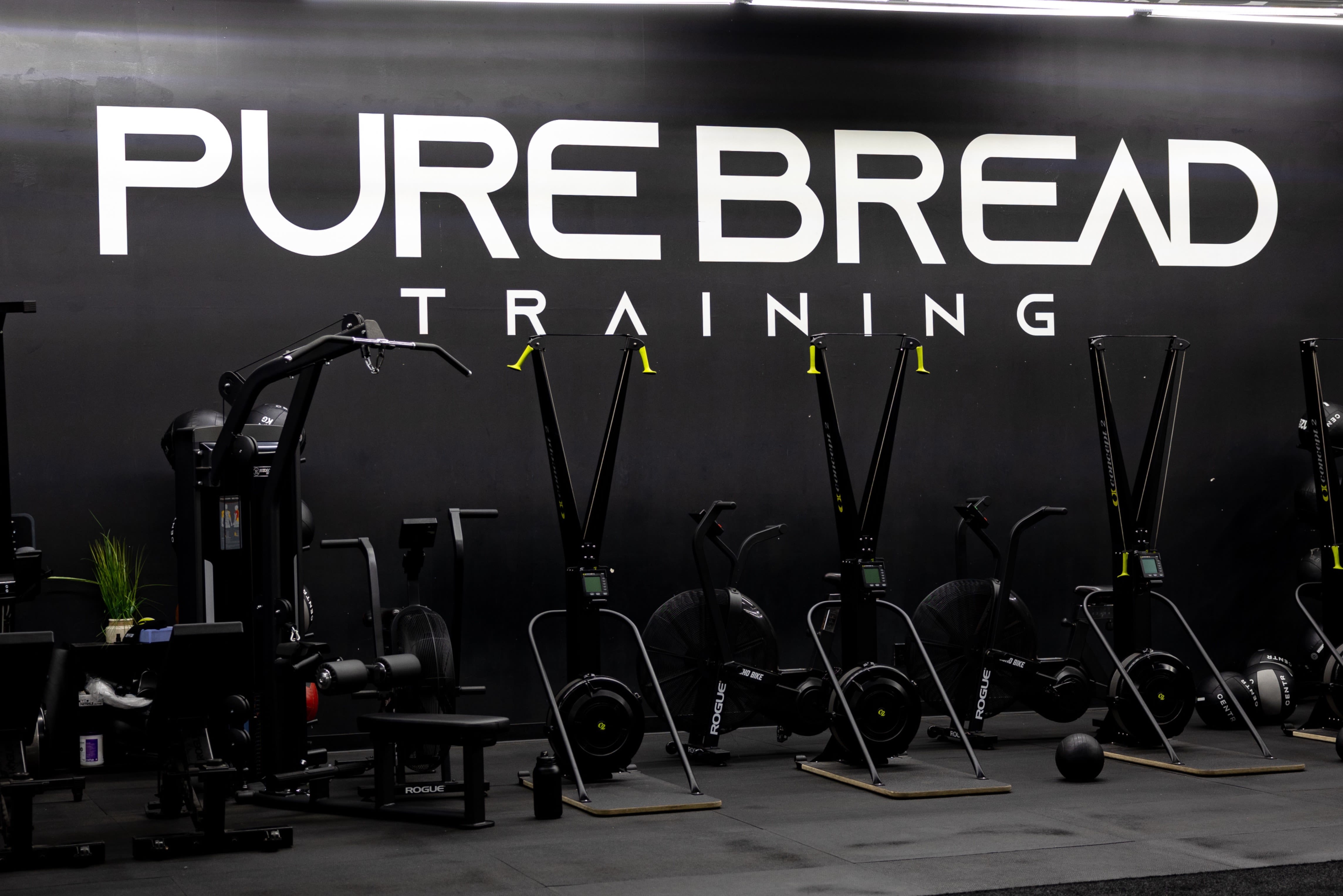 Pure Bread Training: Read Reviews and Book Classes on ClassPass