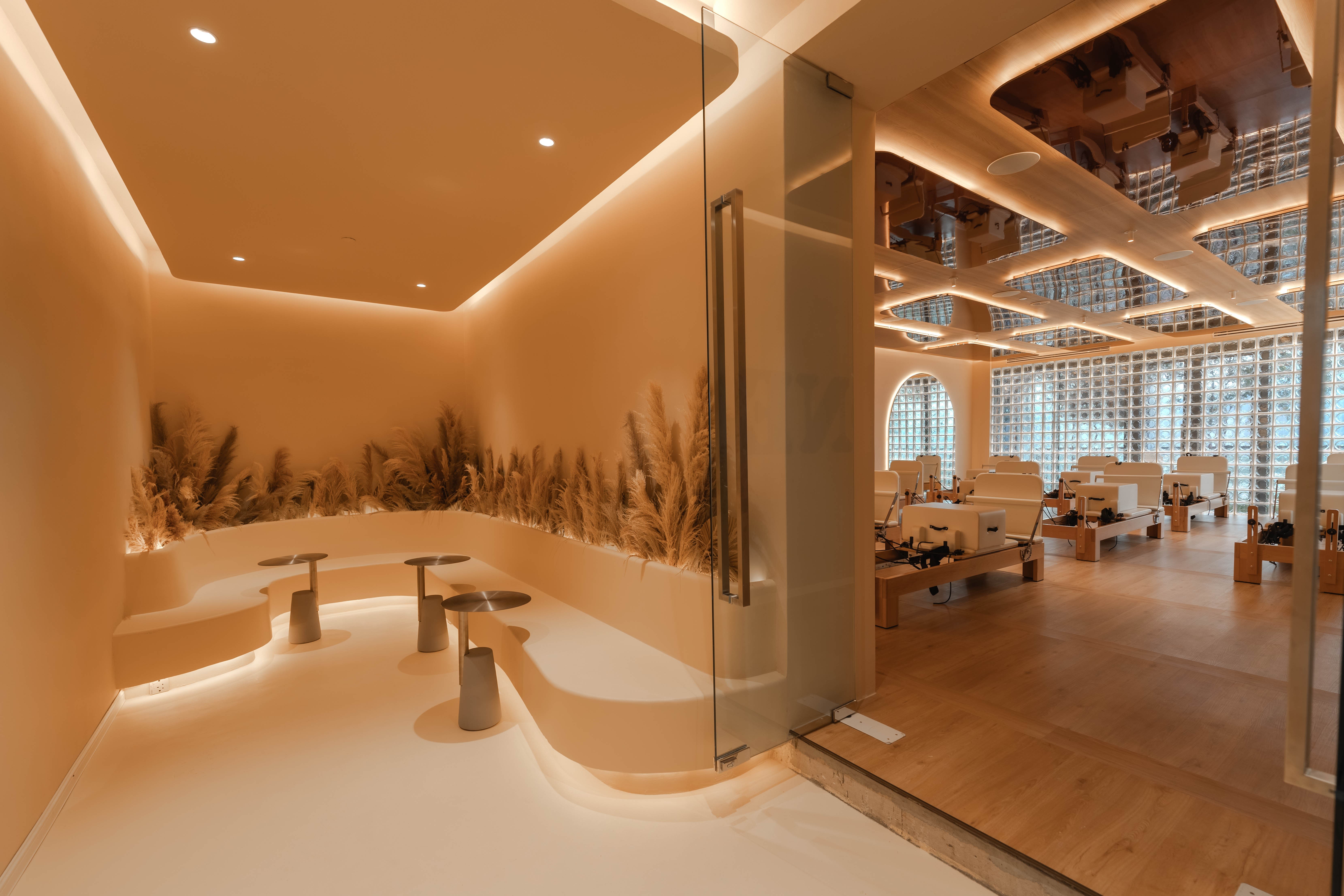 Tone by Babel - TTDI: Read Reviews and Book Classes on ClassPass