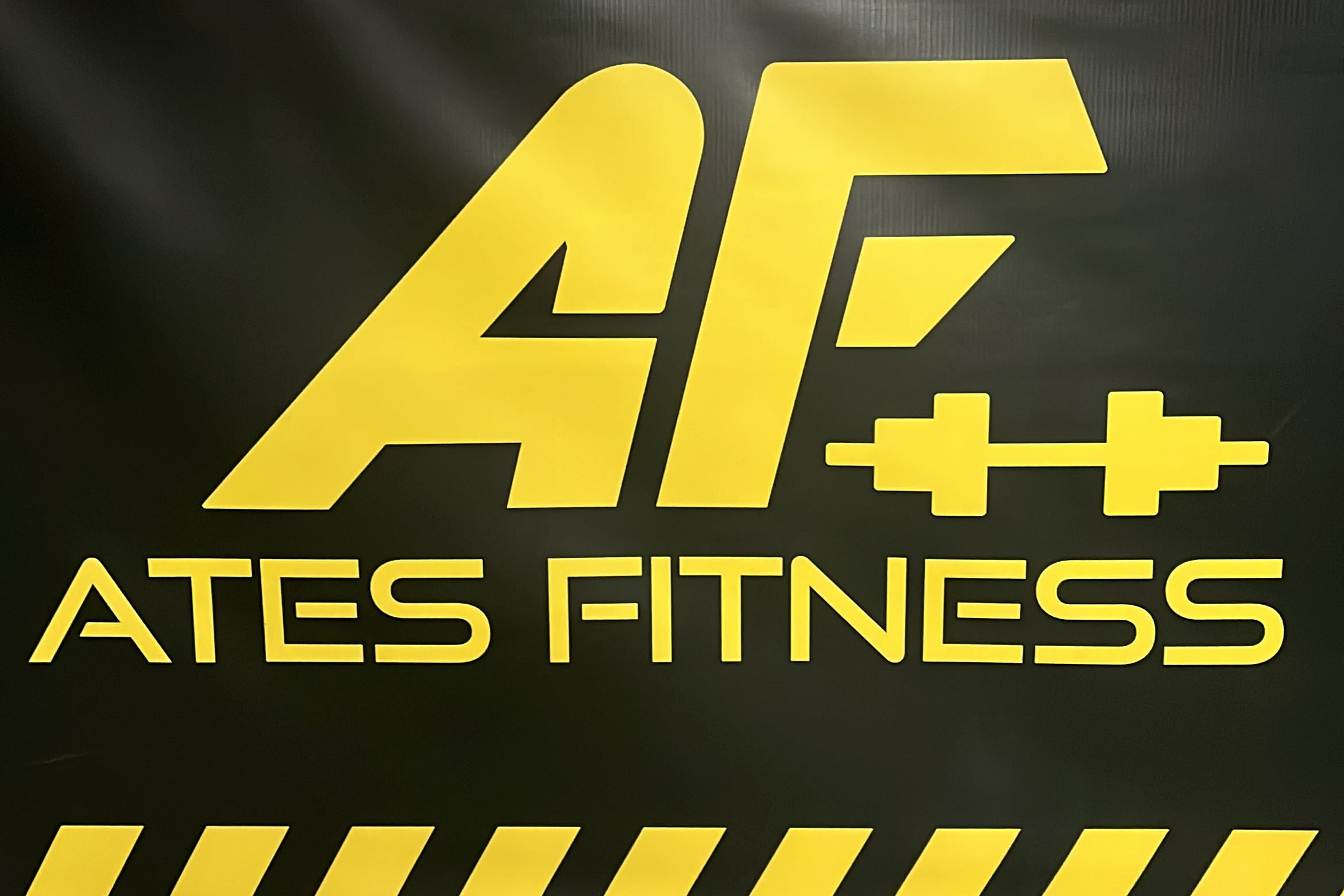 Ates Fitness: Read Reviews and Book Classes on ClassPass