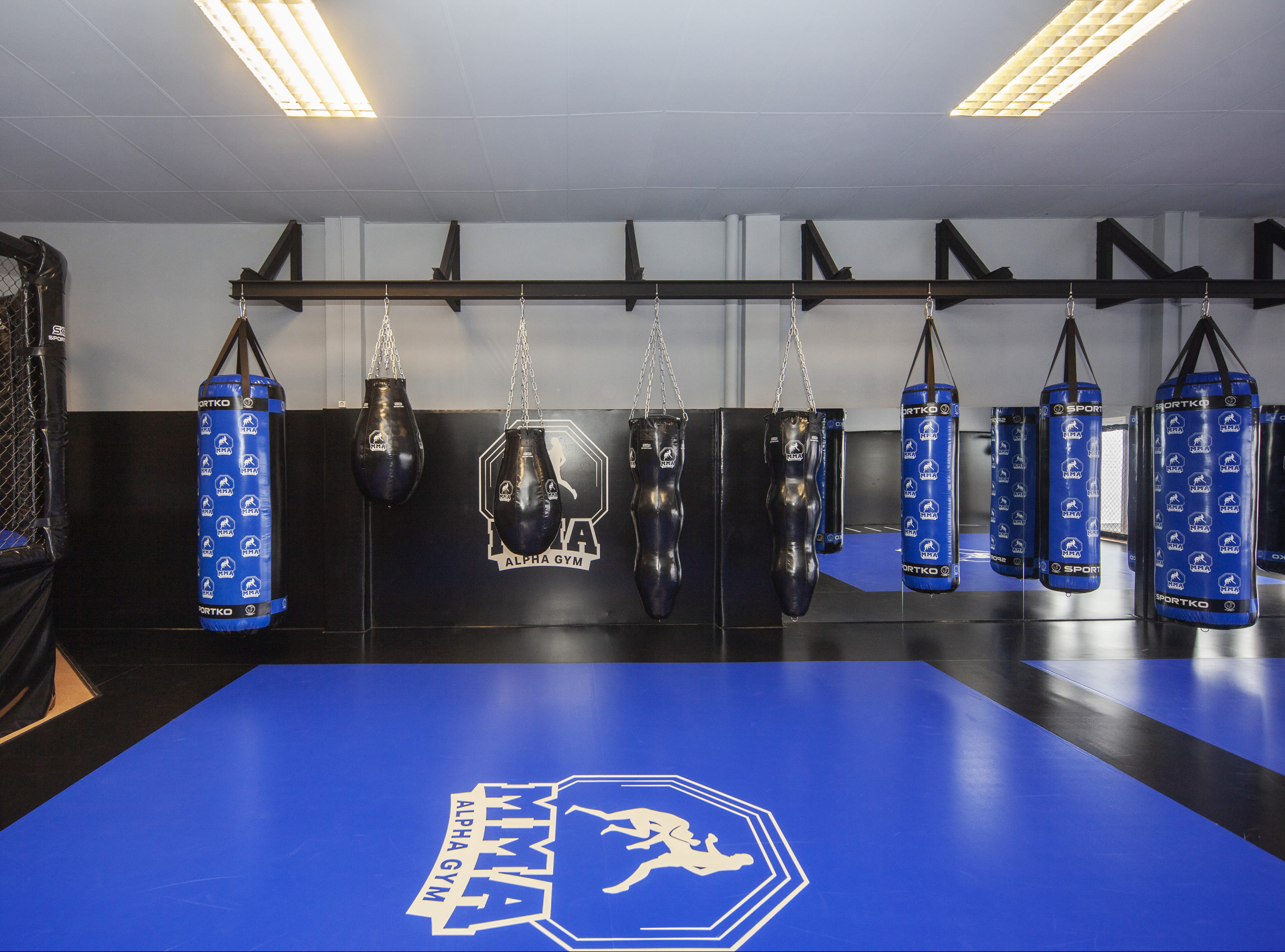 ALPHA GYM MMA: Read Reviews and Book Classes on ClassPass