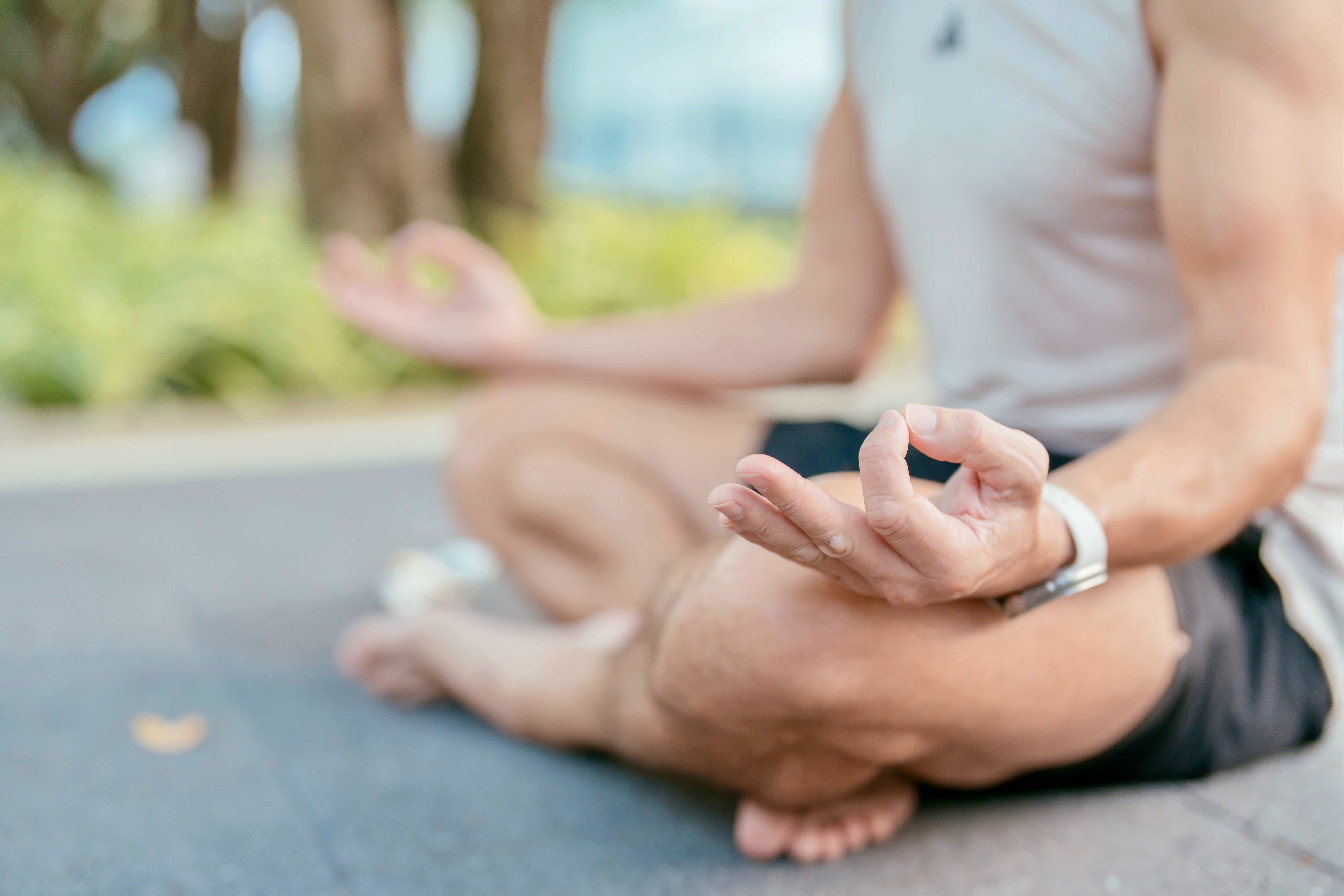 Particular Bear - Mind, Body, Breath: Read Reviews and Book Classes on ...