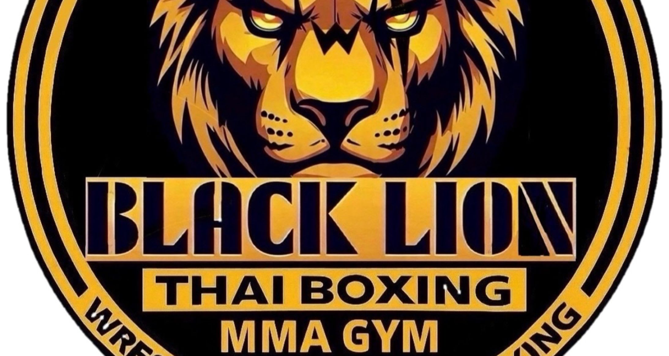 Black Lion Thai Boxing & MMA: Read Reviews and Book Classes on ClassPass