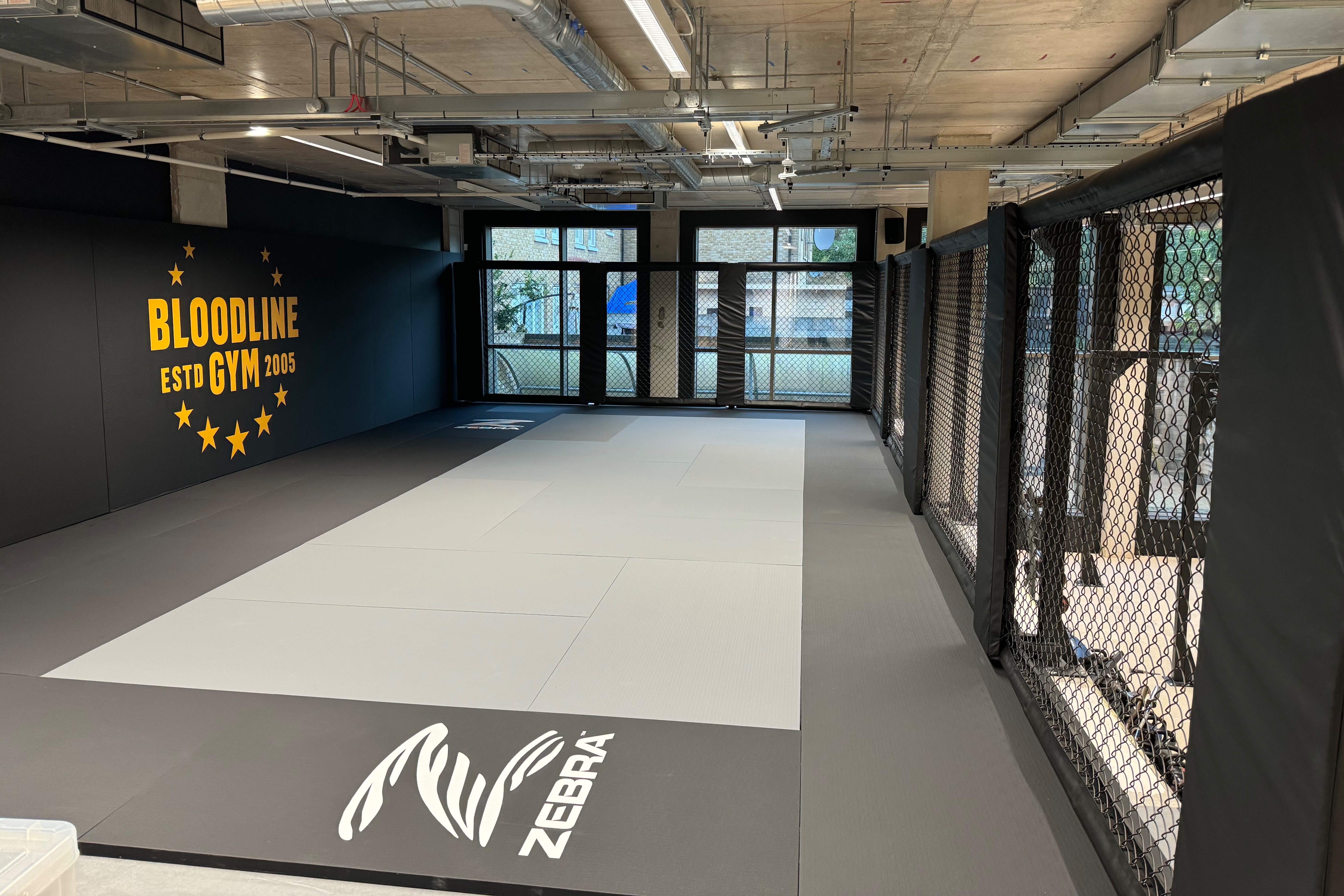 Bloodline Gym: Read Reviews and Book Classes on ClassPass