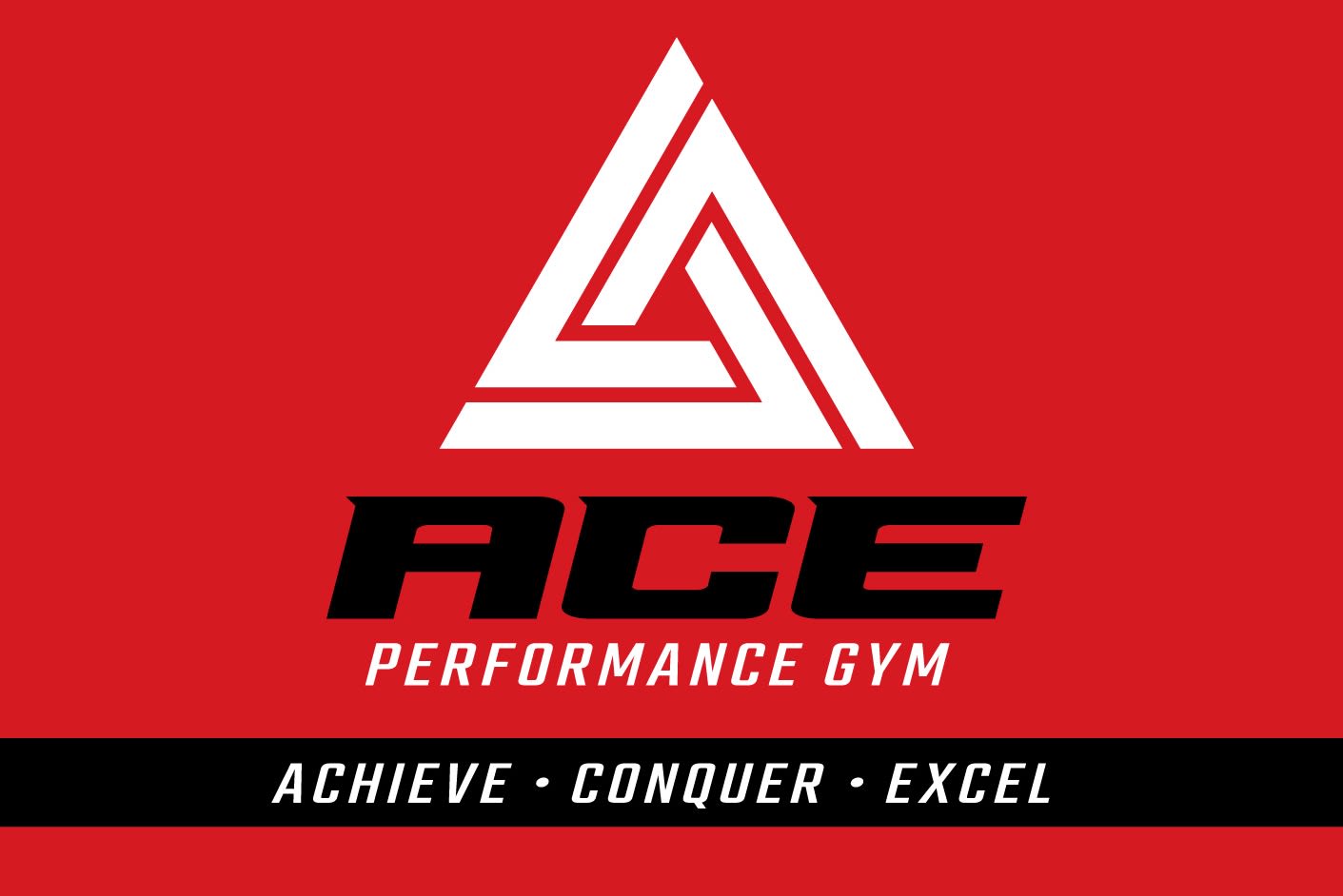 Ace Performance Gym: Read Reviews and Book Classes on ClassPass